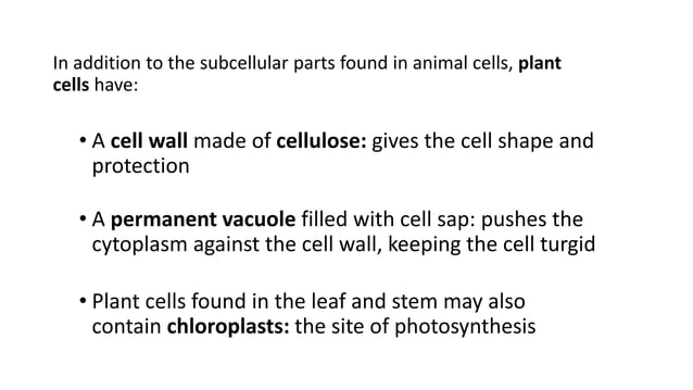 Cambridge IGCSE Biology Cells Structures & Functions.pptx | Biological Sciences | Science