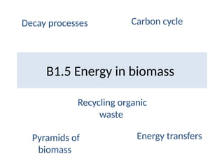 Pyramids of biomass energy-in-biomass.pptx