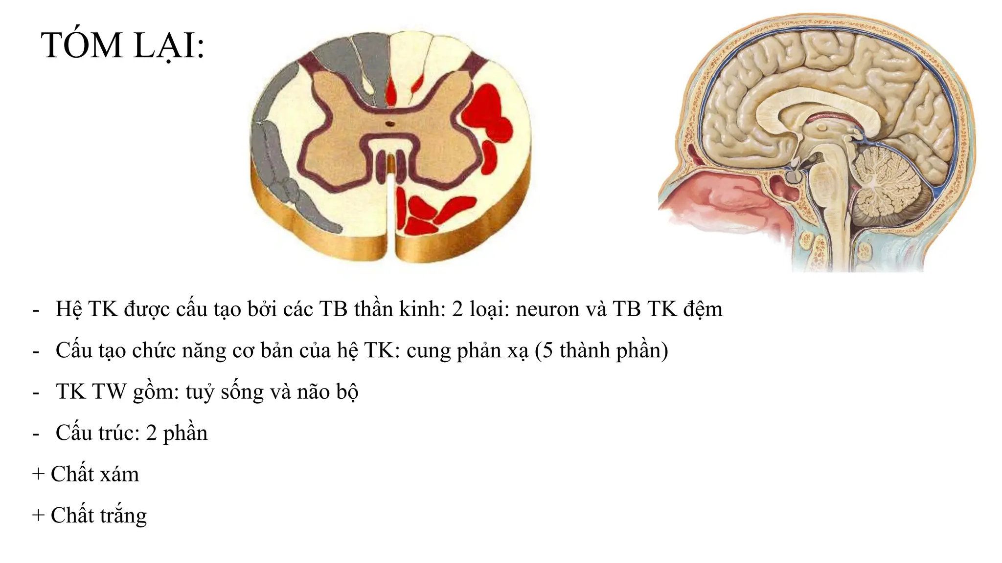 B1.CẤU TRÚC TK TW- ĐƯỜNG DTR TK.2025.pdf