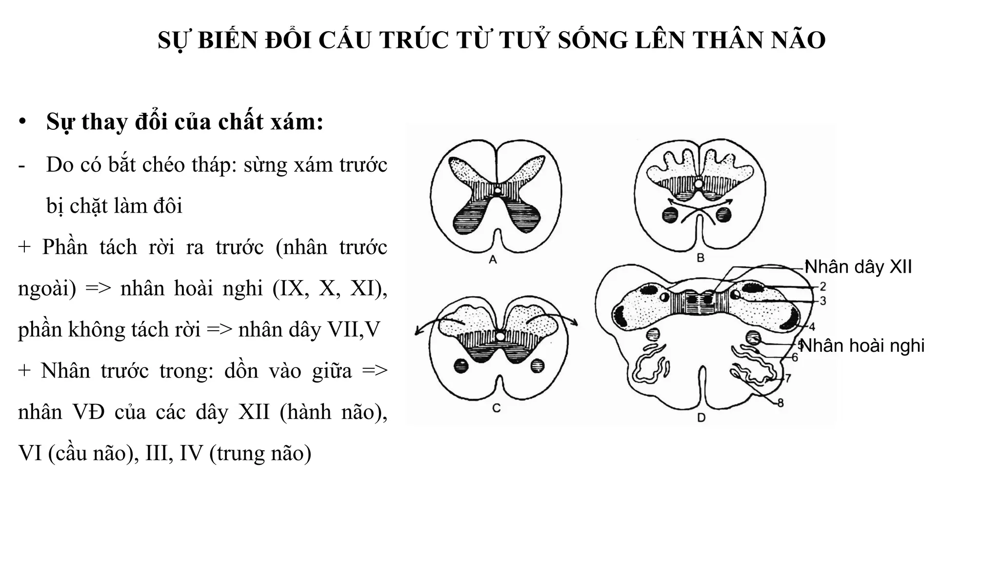 B1.CẤU TRÚC TK TW- ĐƯỜNG DTR TK.2025.pdf