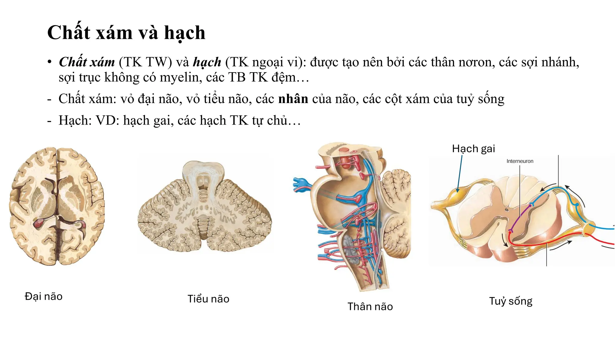 B1.CẤU TRÚC TK TW- ĐƯỜNG DTR TK.2025.pdf