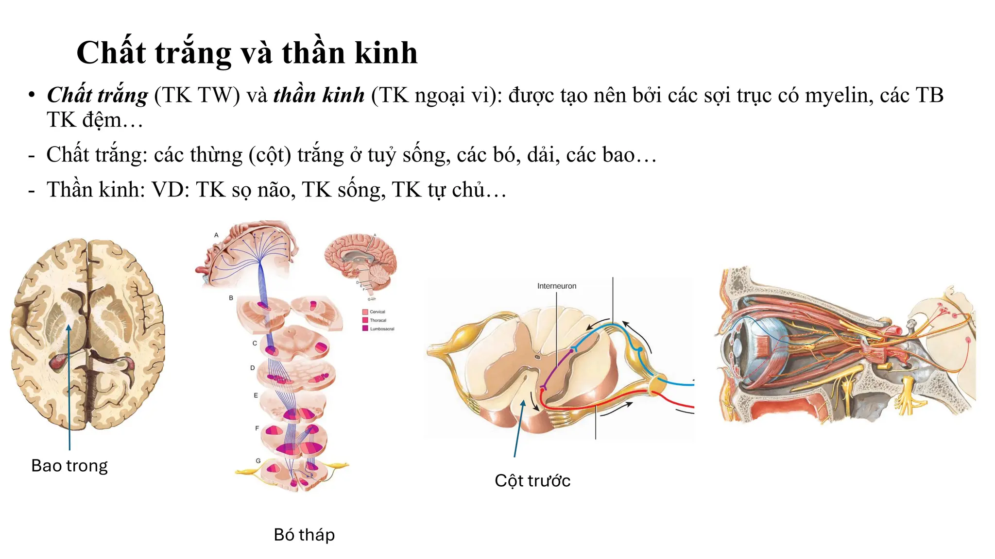 B1.CẤU TRÚC TK TW- ĐƯỜNG DTR TK.2025.pdf