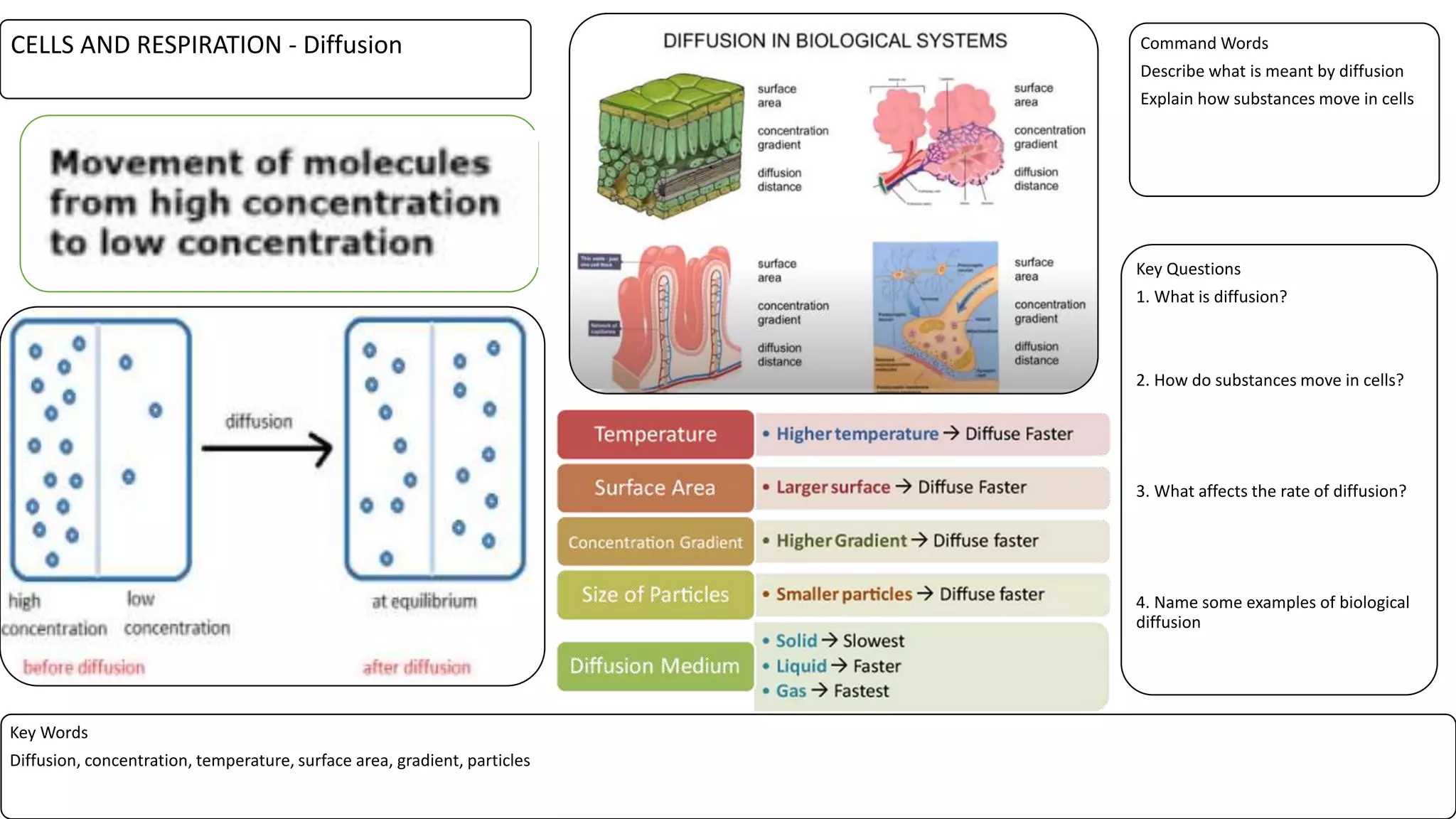 B1 - Cells and Respiration.pptx