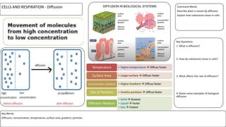 B1 - Cells and Respiration.pptx