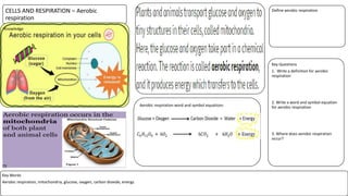 B1 - Cells and Respiration.pptx