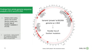 Mapping spondyloarthritis susceptibility loci in B10.RIII mice | PPT