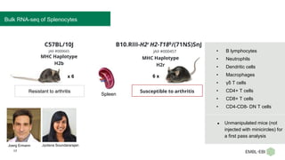 Mapping spondyloarthritis susceptibility loci in B10.RIII mice | PPT