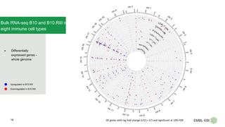 Mapping spondyloarthritis susceptibility loci in B10.RIII mice | PPT