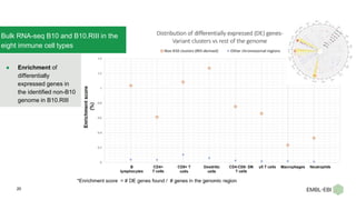 Mapping spondyloarthritis susceptibility loci in B10.RIII mice | PPT