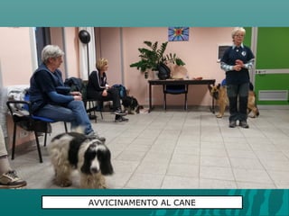 Pet I Therapy | PPT