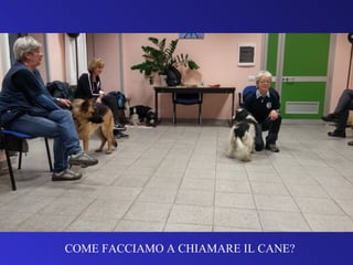Pet I Therapy | PPT