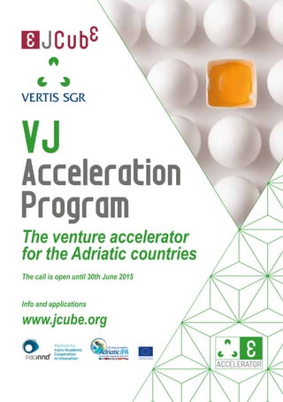 Flyer Acceleration program web | PDF