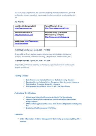 Hamdy Seif LIN | PDF | Information Services Industry | Industries