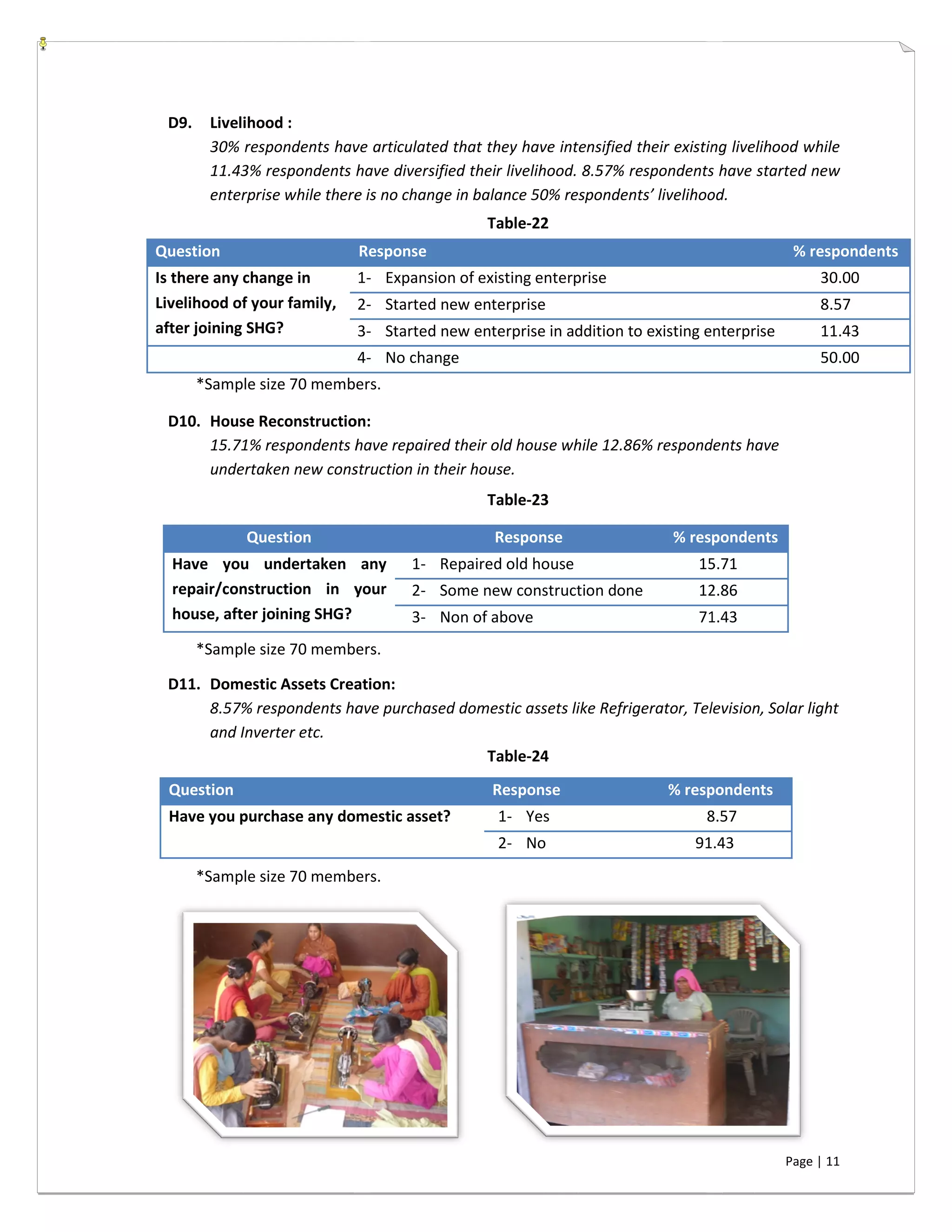 SHG Impact Assessment | PDF