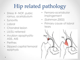 Sporting Hip and Groin IST 2 | PPTX