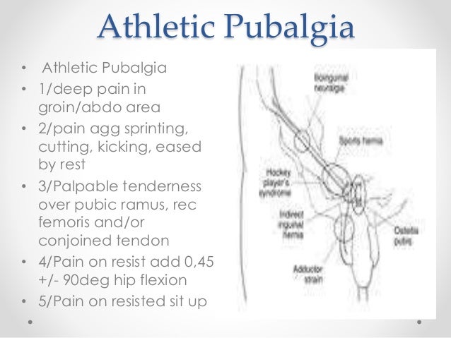 Sporting Hip and Groin IST 2