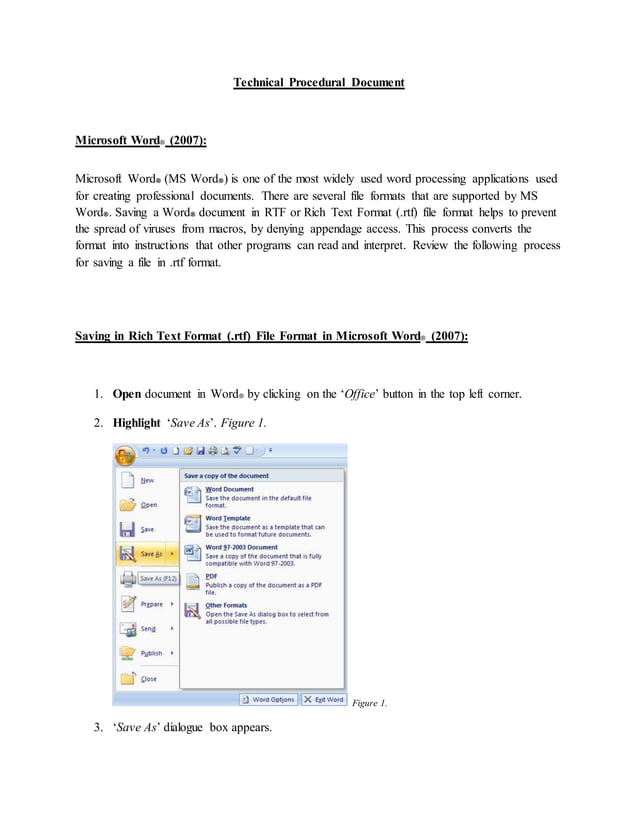 TechnicalWritingPortfolio | PDF