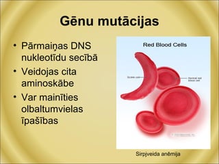 B 11 4_mutacijas | PPT