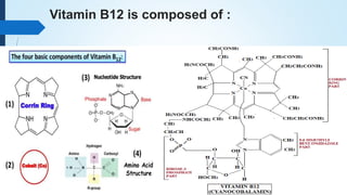 B12 vitamin | PPTX