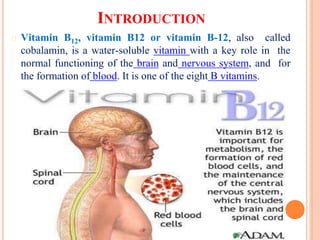 b12 new.pptx