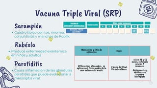 Esquema de vacunacion en mexico, niños y | PDF