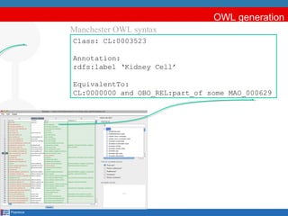 Spreadsheets to OWL | PPT