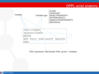 Spreadsheets to OWL | PPT