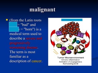 B17 vocab control of the cell cycle | PPT