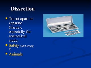 B17 vocab control of the cell cycle | PPT
