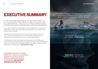 THE DATABERG REPORT SEE WHAT OTHERS DON’T | PDF
