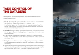 THE DATABERG REPORT SEE WHAT OTHERS DON’T | PDF