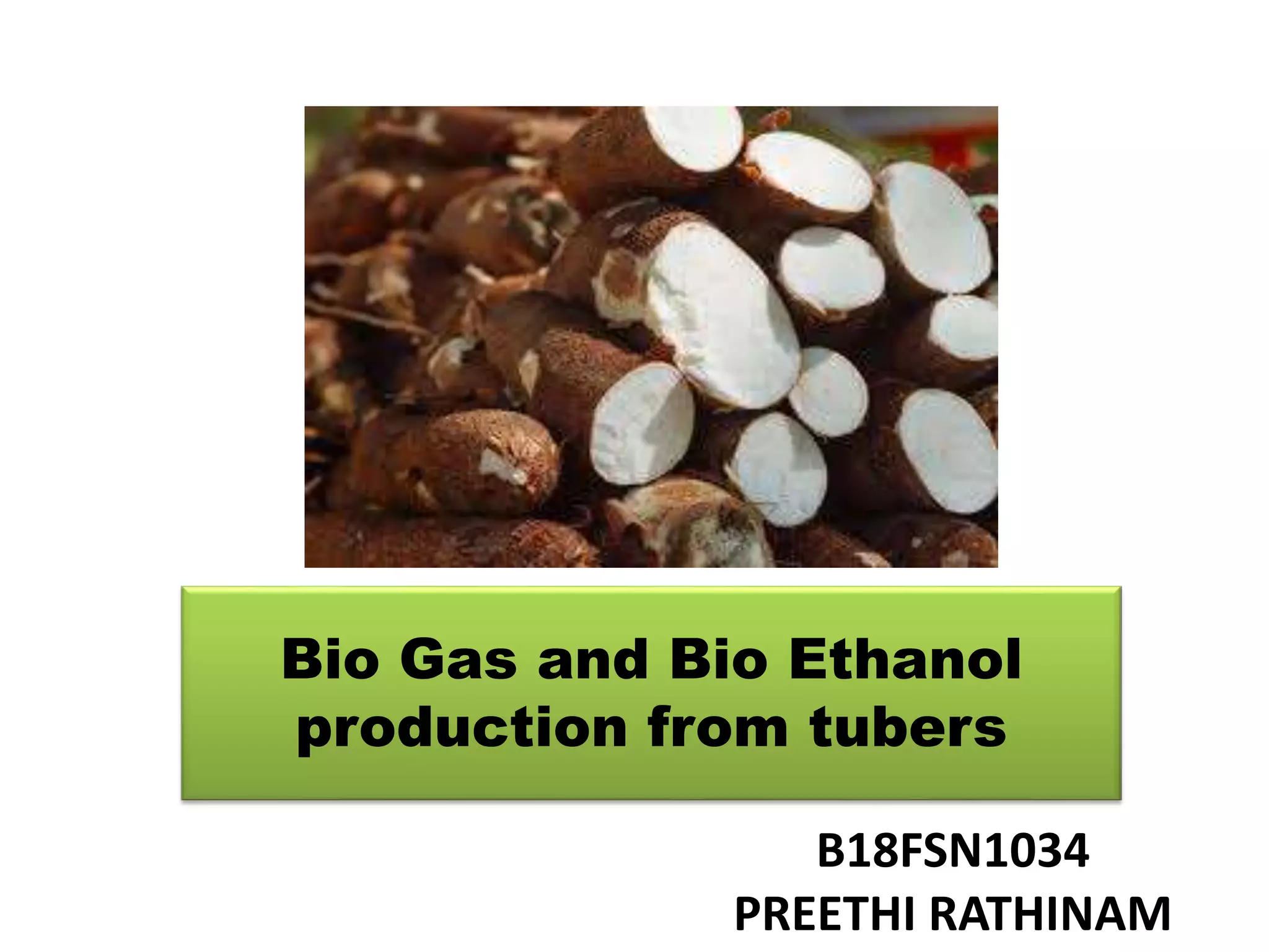 BIOGAS AND BIOETHANOL FROM CASSAVA (TUBERS) | PPT