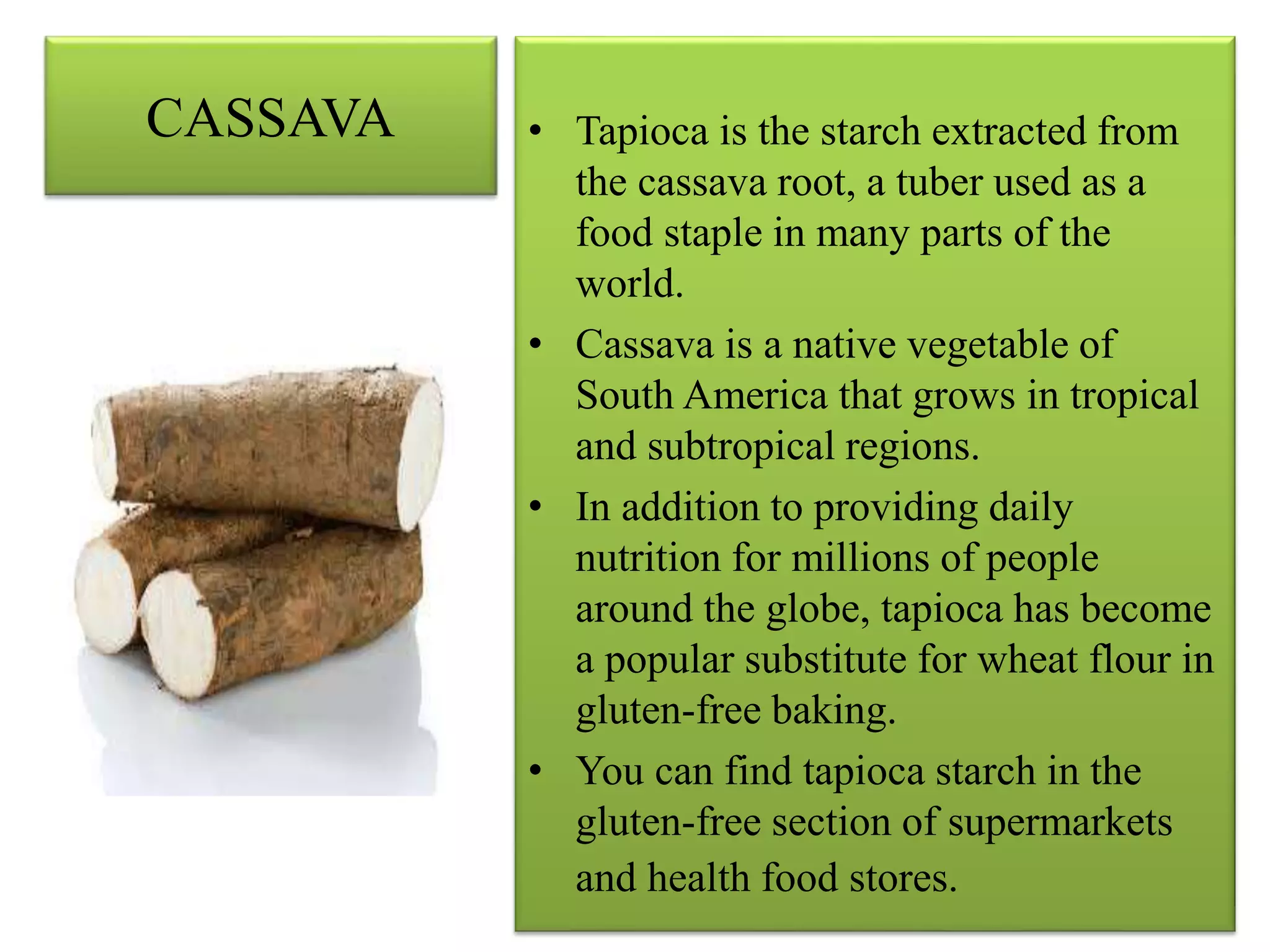BIOGAS AND BIOETHANOL FROM CASSAVA (TUBERS) | PPTX