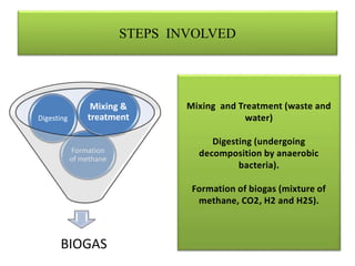 BIOGAS AND BIOETHANOL FROM CASSAVA (TUBERS) | PPT