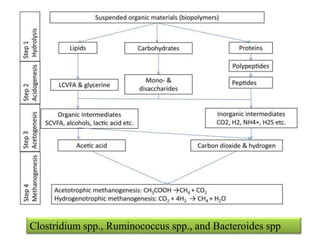 BIOGAS AND BIOETHANOL FROM CASSAVA (TUBERS) | PPT