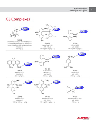 buchwald-portfolio | PDF