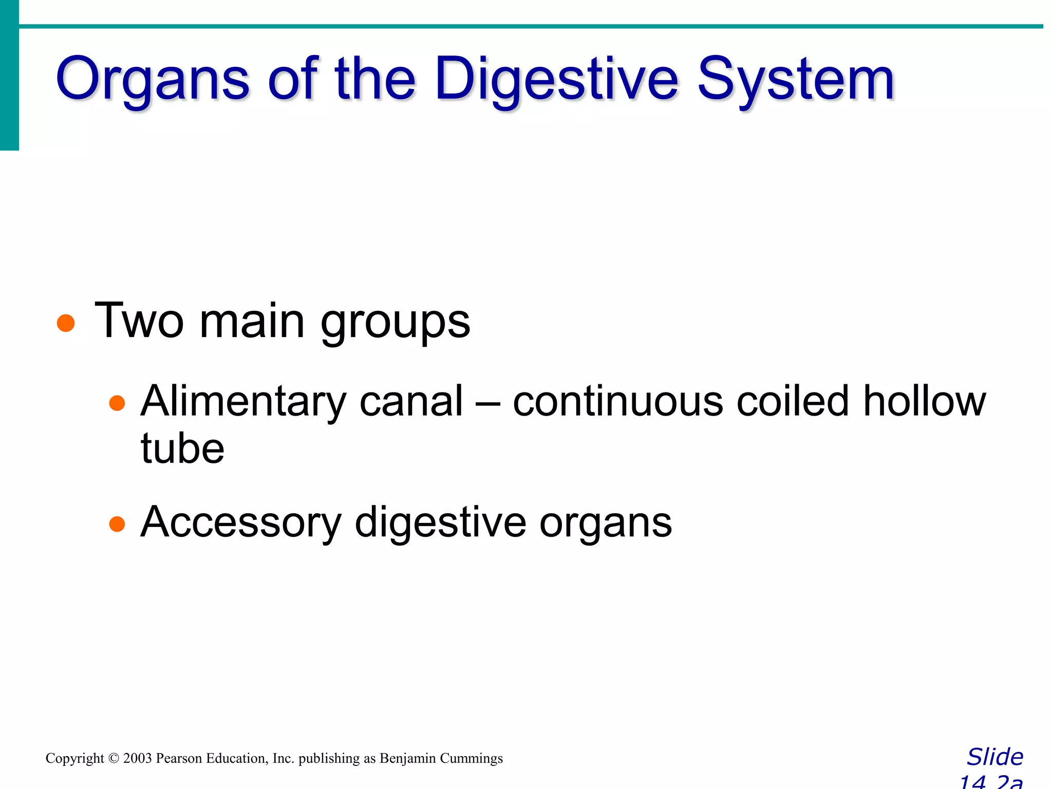 b19_file9_31312-digestionmarieb.ppt