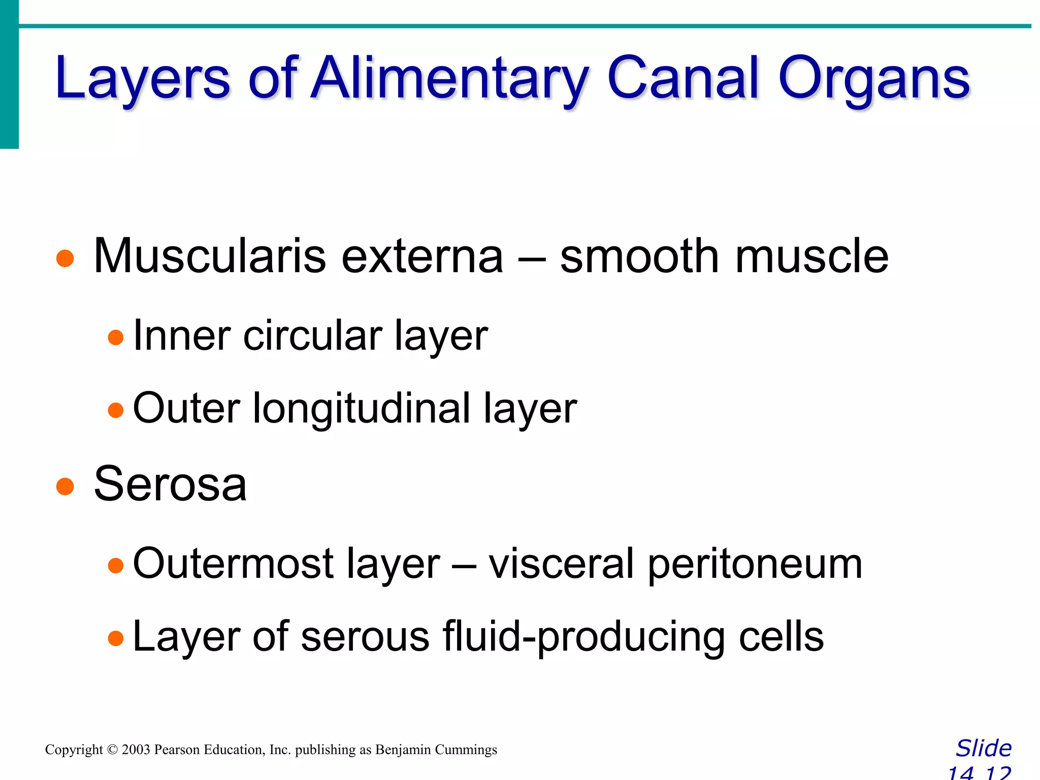 b19_file9_31312-digestionmarieb.ppt