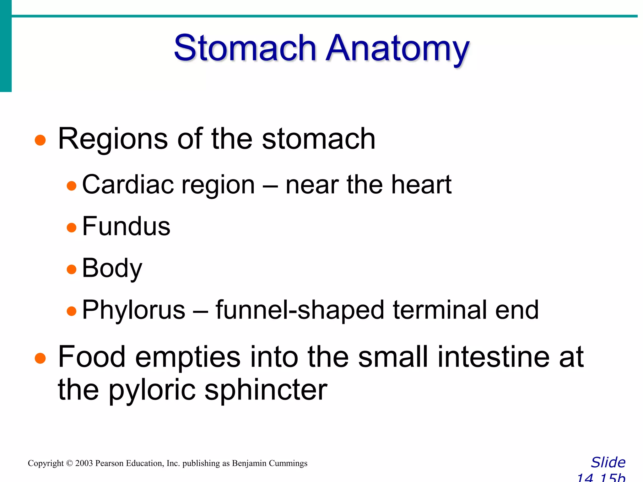 b19_file9_31312-digestionmarieb.ppt