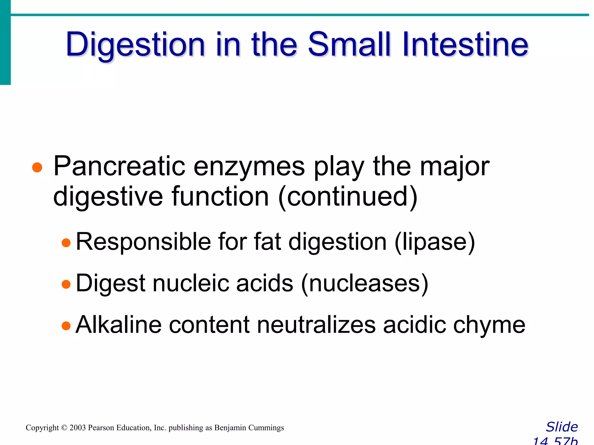 b19_file9_31312-digestionmarieb.ppt