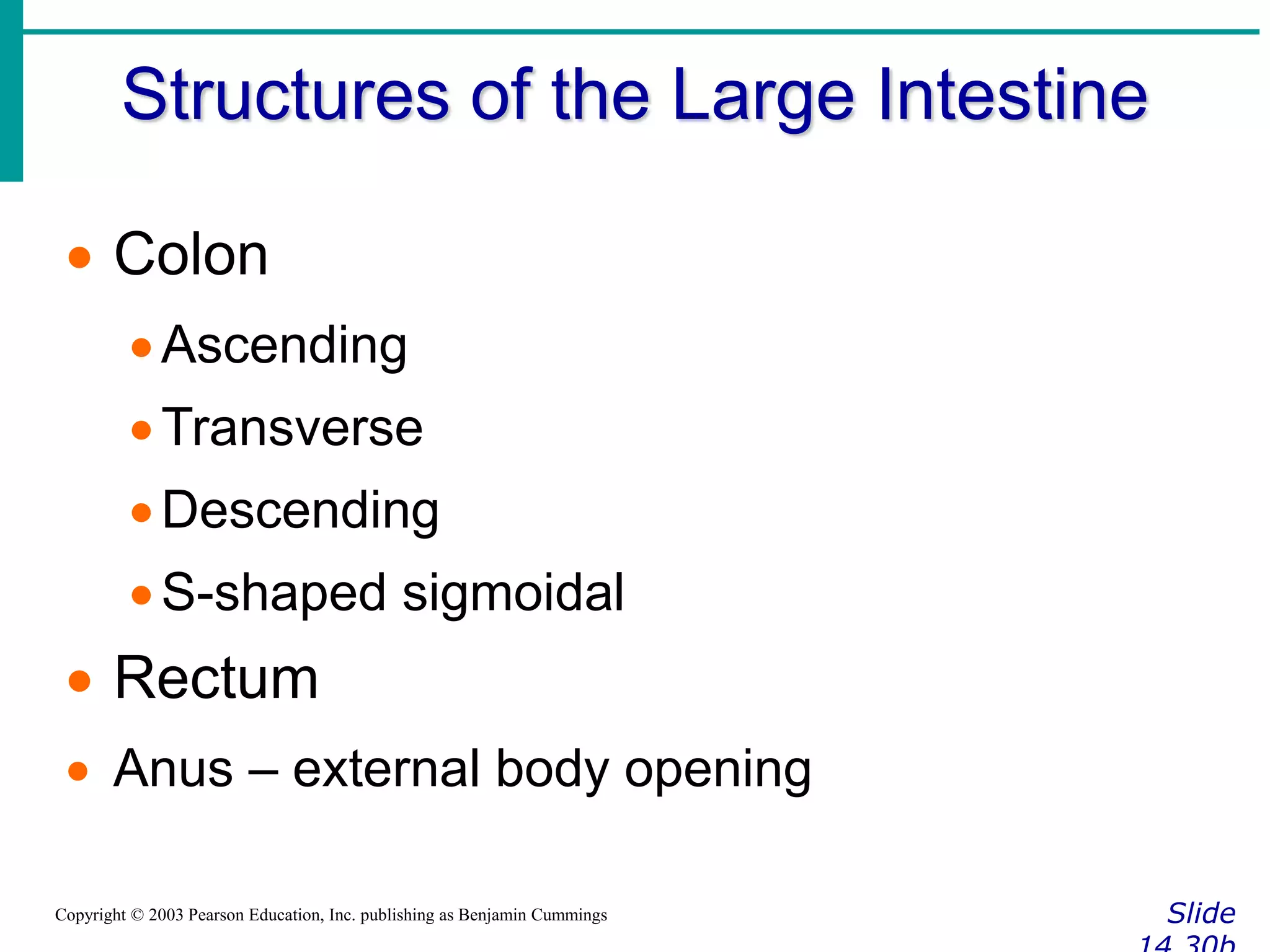 b19_file9_31312-digestionmarieb.ppt
