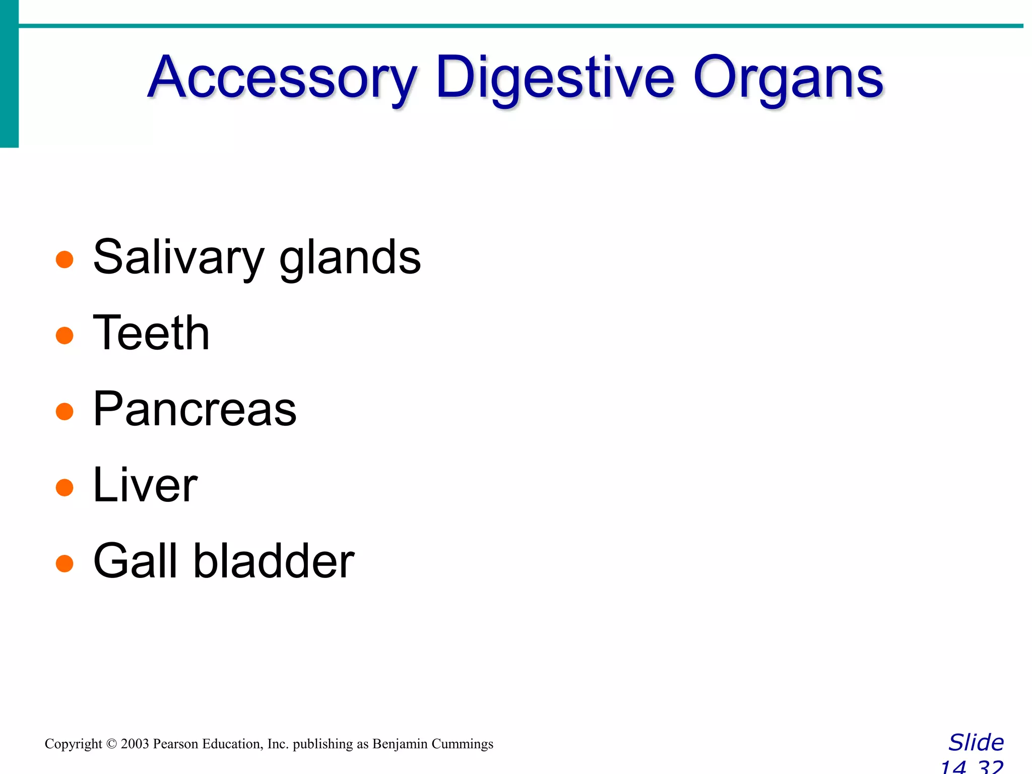 b19_file9_31312-digestionmarieb.ppt