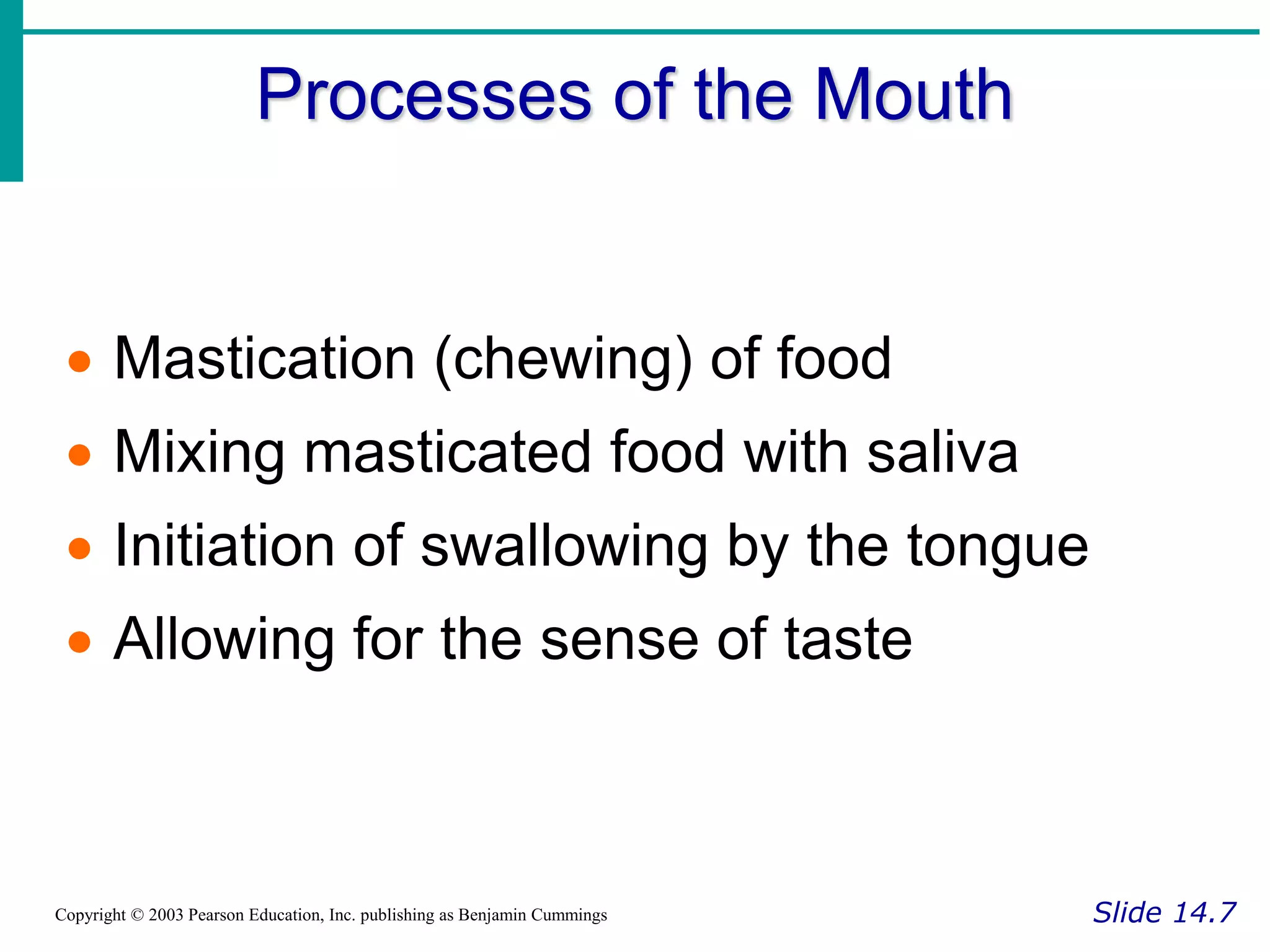 b19_file9_31312-digestionmarieb.ppt