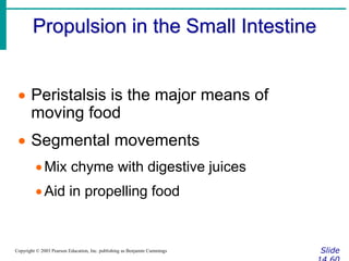 b19_file9_31312-digestionmarieb.ppt