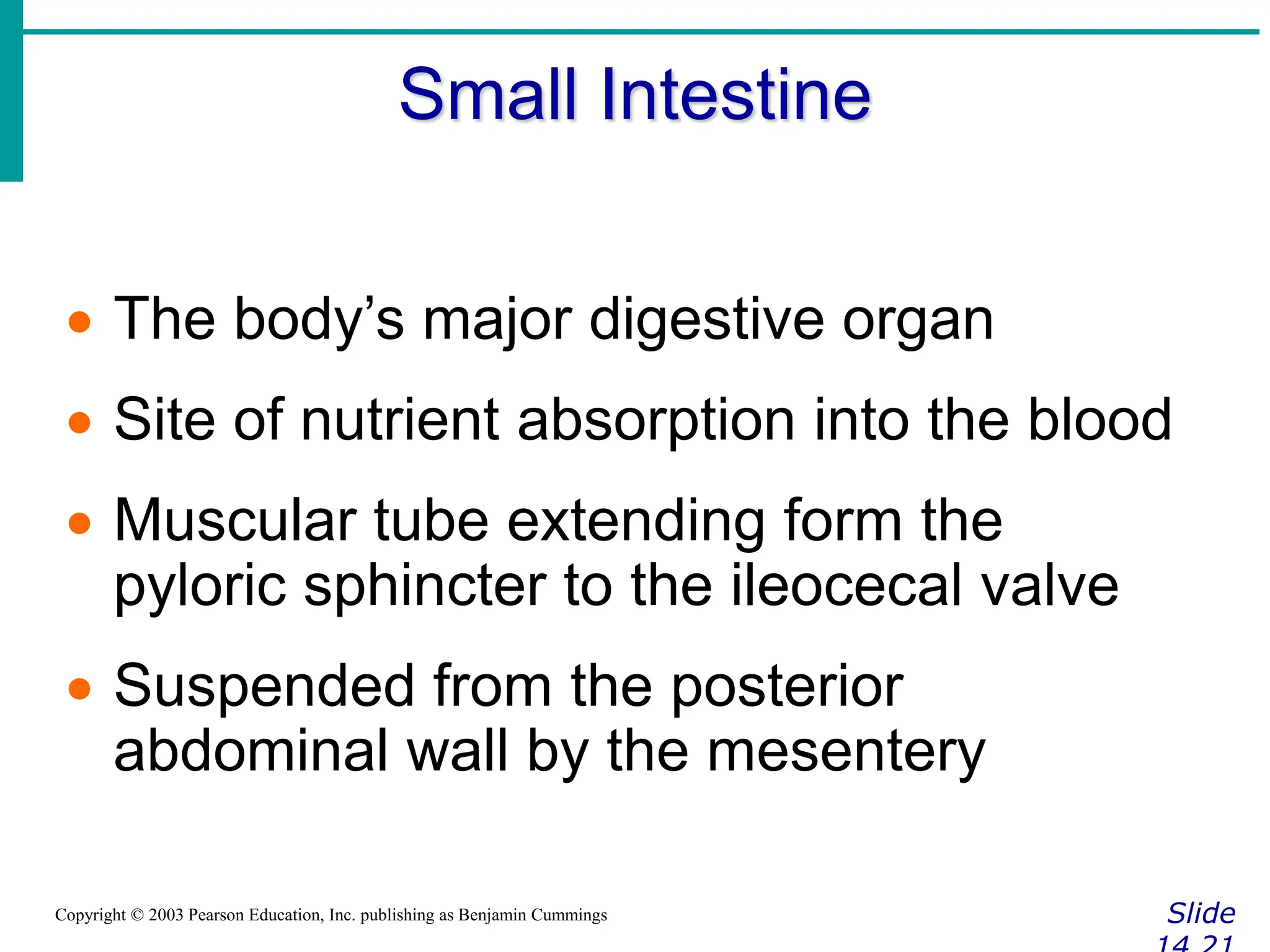powerpoint b19_file9_31312-digestionmarieb.ppt