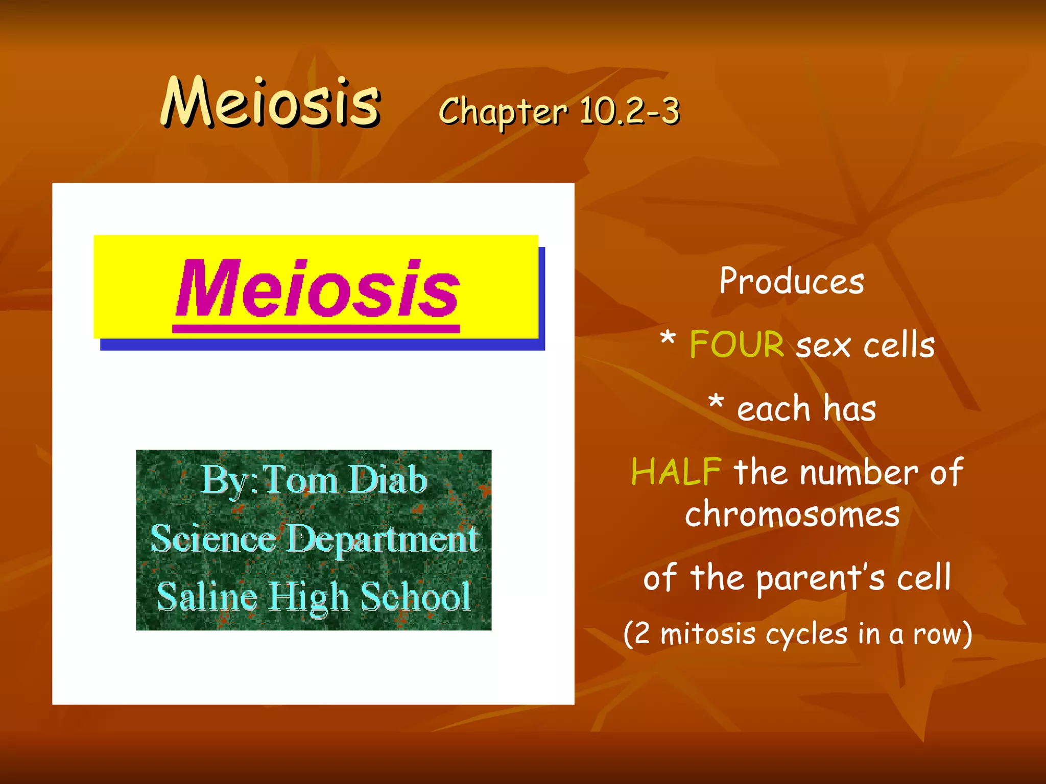 B19 meiosis ppt vocab chapter 10 | PPT
