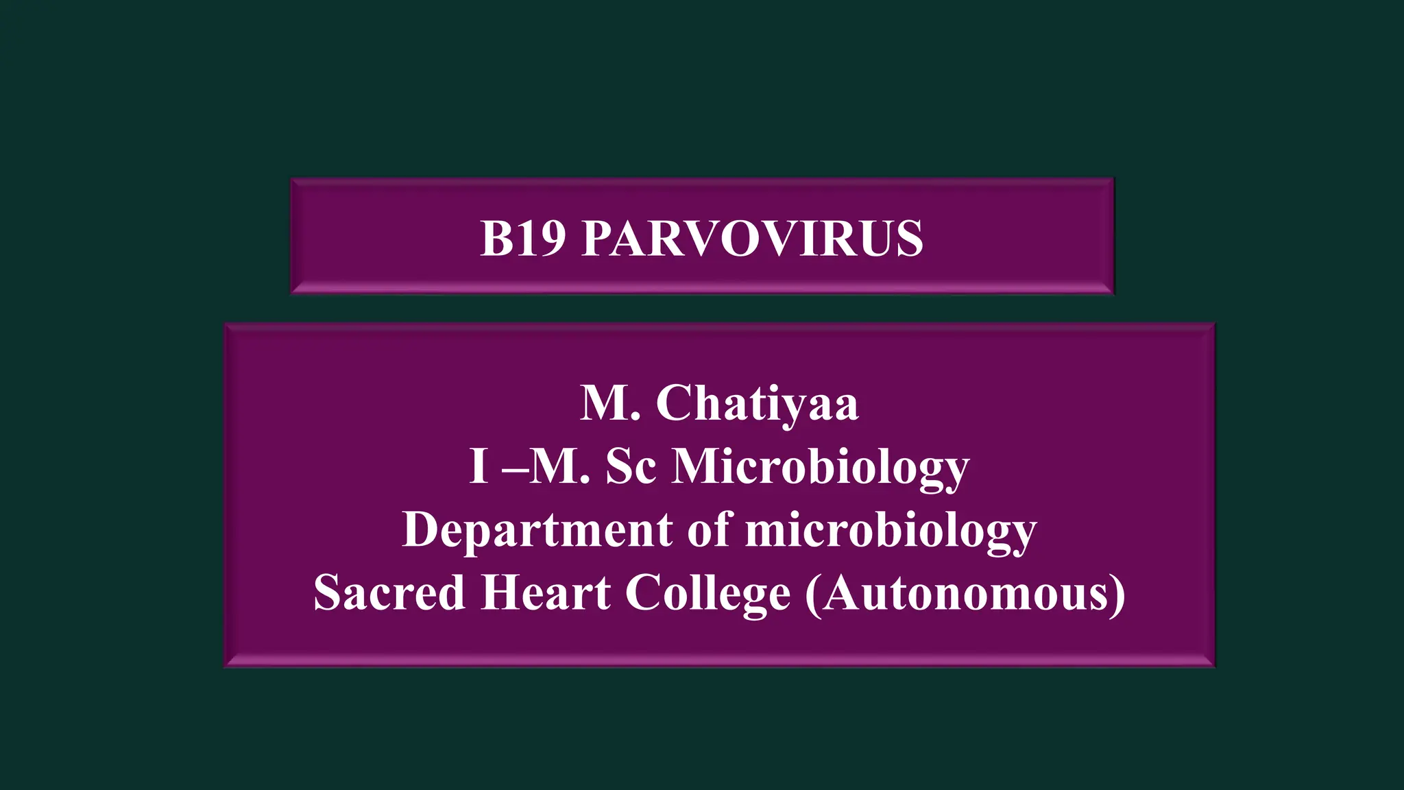 B19 PARVOVIRUS (STRUCTURE, TRANSMISSION, REPLICATION, PATHOGENESIS ...