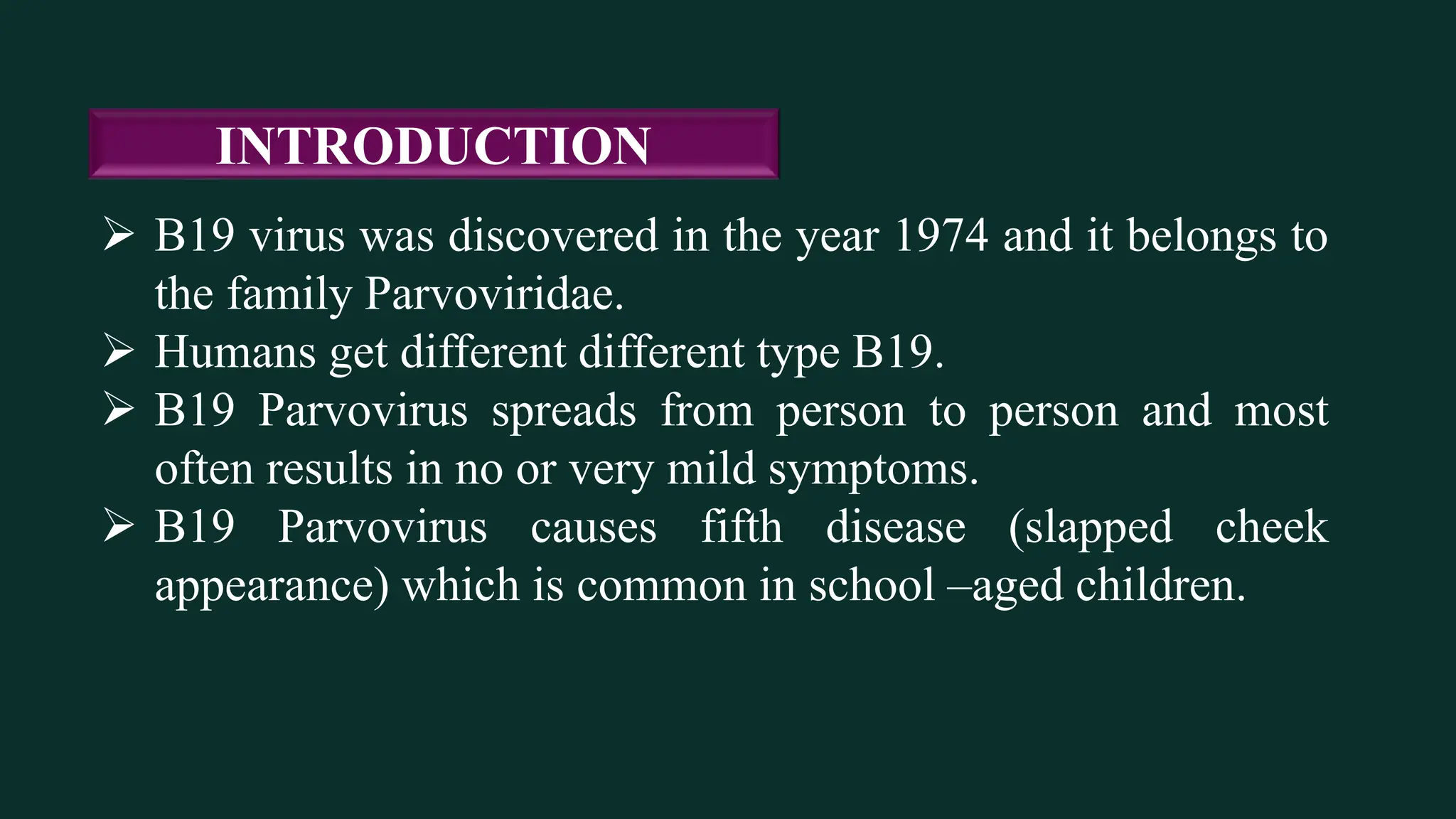 B19 PARVOVIRUS (STRUCTURE, TRANSMISSION, REPLICATION, PATHOGENESIS ...