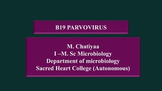 B19 PARVOVIRUS (STRUCTURE, TRANSMISSION, REPLICATION, PATHOGENESIS ...