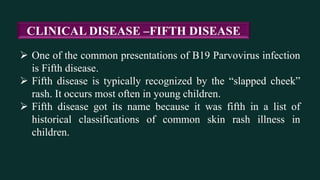B19 PARVOVIRUS (STRUCTURE, TRANSMISSION, REPLICATION, PATHOGENESIS ...